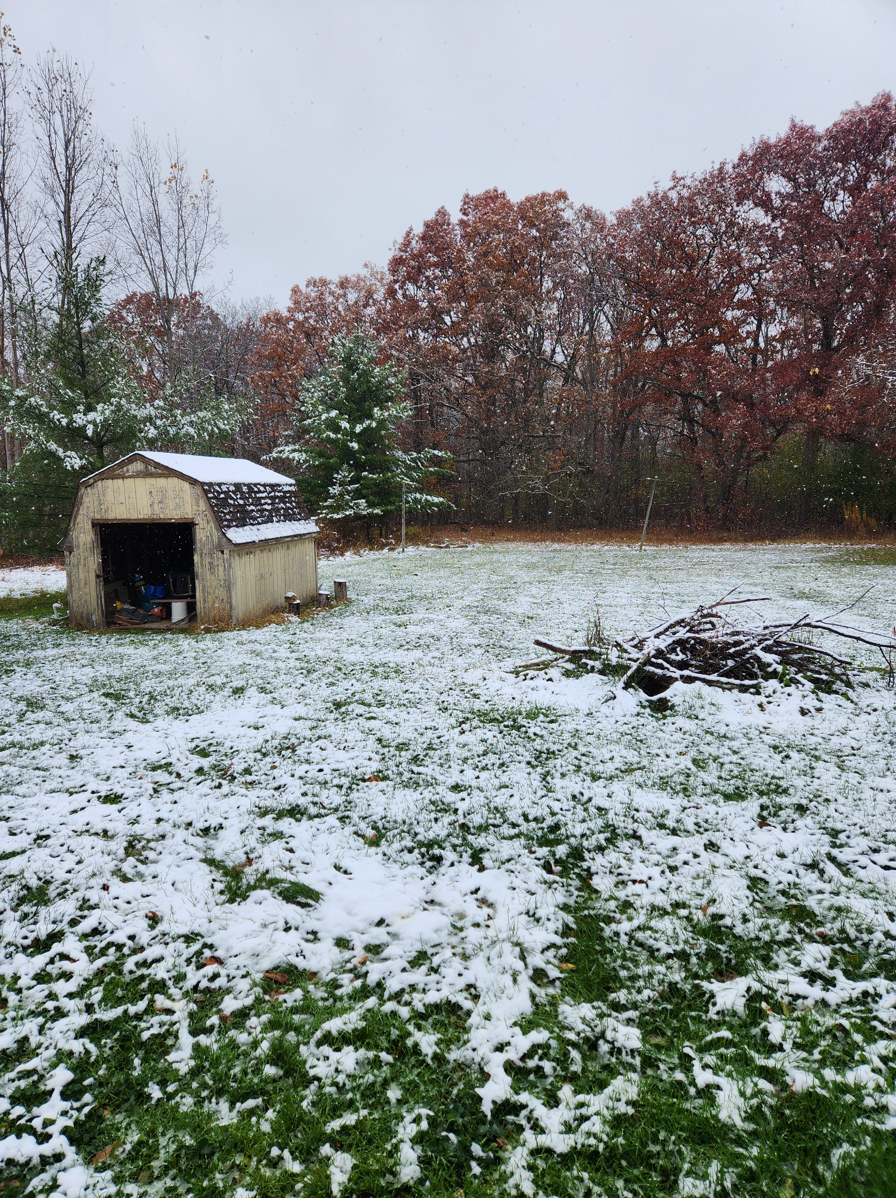 snowy morning – Escape Reality